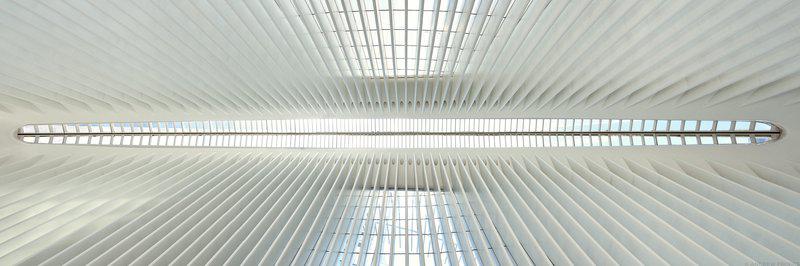 Oculus Architecture Drawing