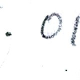 Andy Warhol - Roy Lichtenstein (Authenticated) for Sale | Artspace